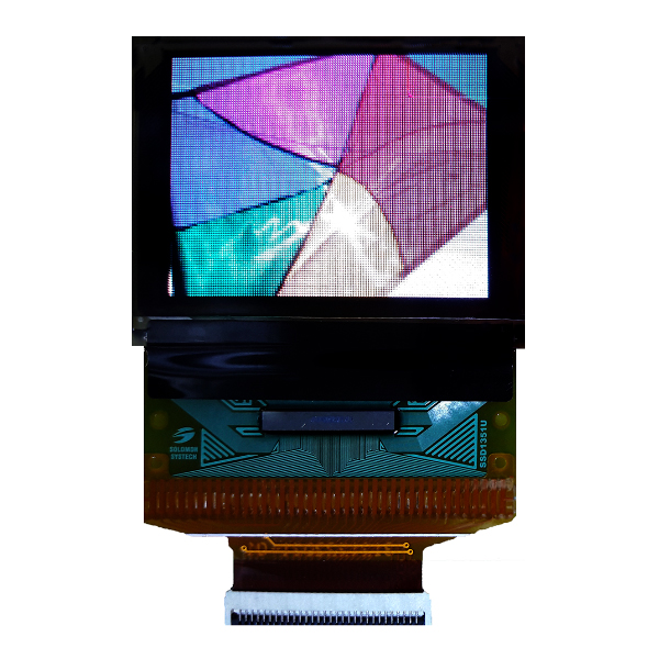 RiTdisplay 그래픽 OLED P22202 / 디바이스마트