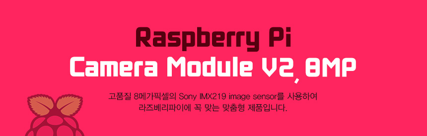 라즈베리파이 카메라모듈 V2, 8MP (RPI 8MP CAMERA BOARD) / 디바이스마트