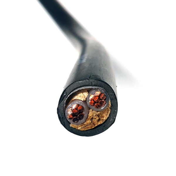 KS C IEC60502-1 0.6/1kV TFR-CV 전선25SQ × 2C 1M / 디바이스마트