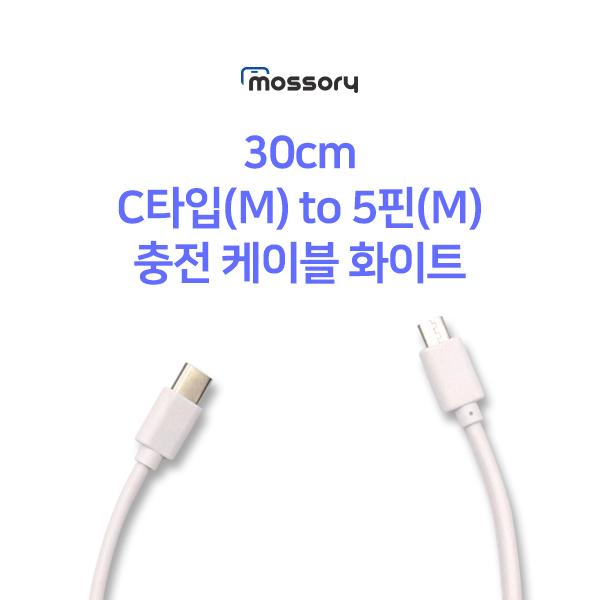 컴퓨터/모바일/가전 > 스마트폰/스마트기기 > 케이블/젠더 > C타입 케이블 / 디바이스마트